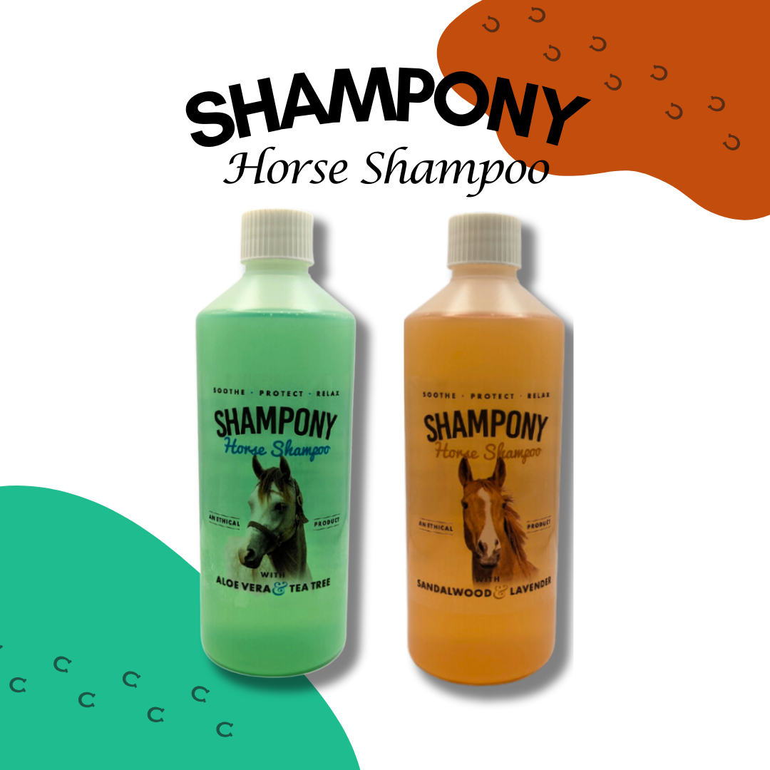 Shampony Horse Shampoo – Ethical Supplies
